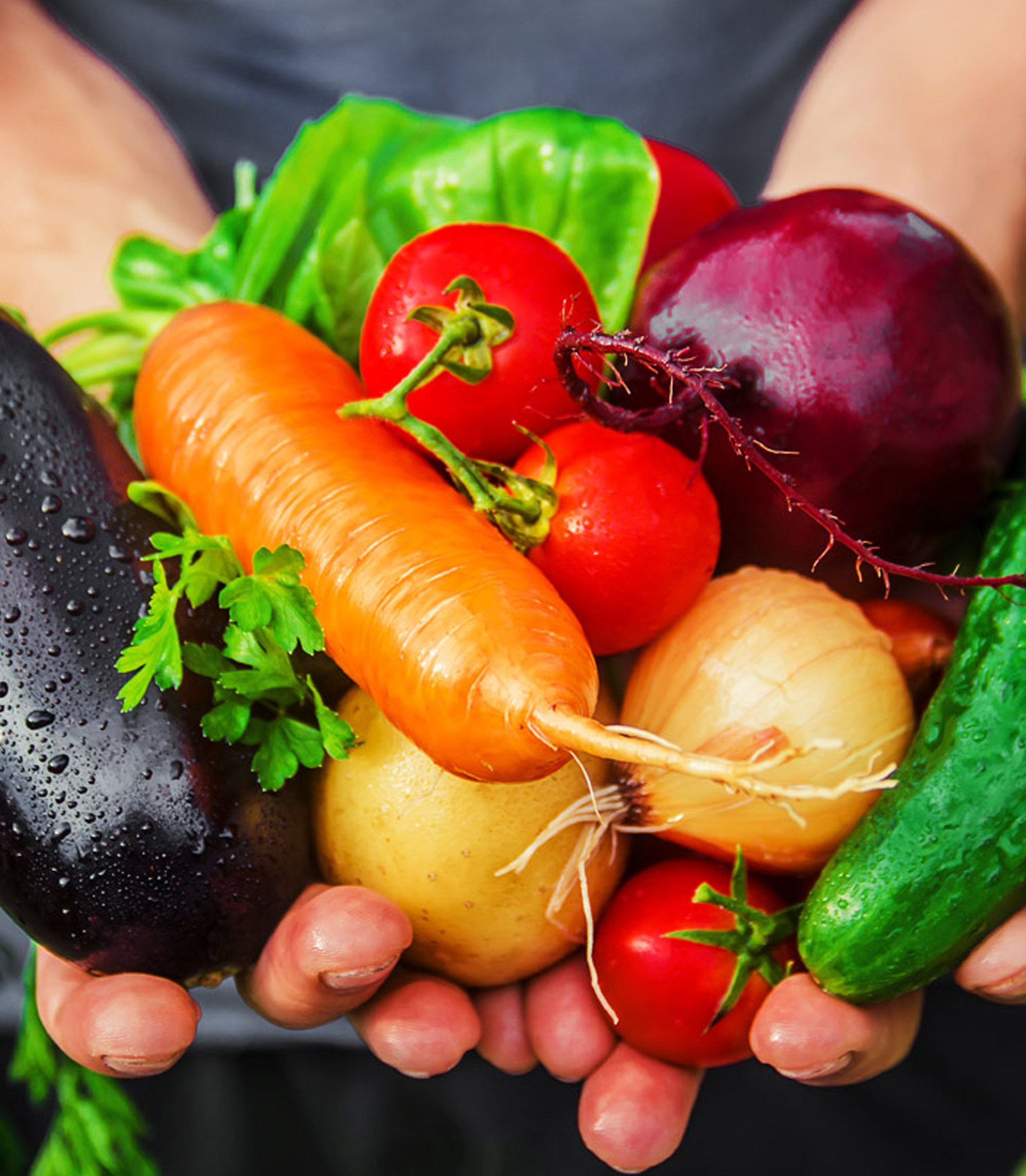 Frische-ABC - diska-markt