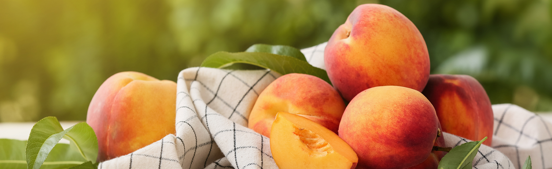 Steinobst - diska-markt