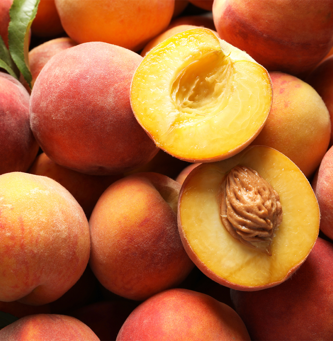 Steinobst - diska-markt