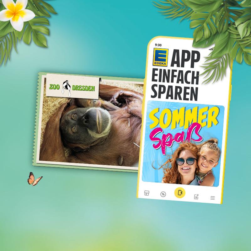 Aktuelle Angebote & Dein Prospekt zum Blättern - diska-markt